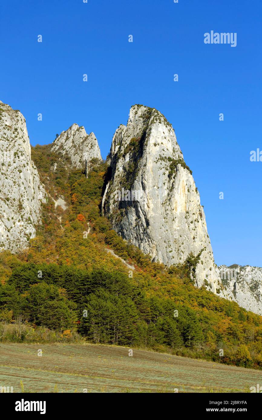 France, Drome, Saou forest and village Stock Photo - Alamy