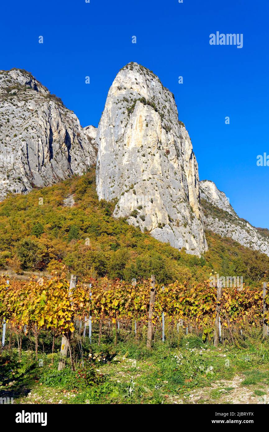 France, Drome, Saou forest and village Stock Photo - Alamy