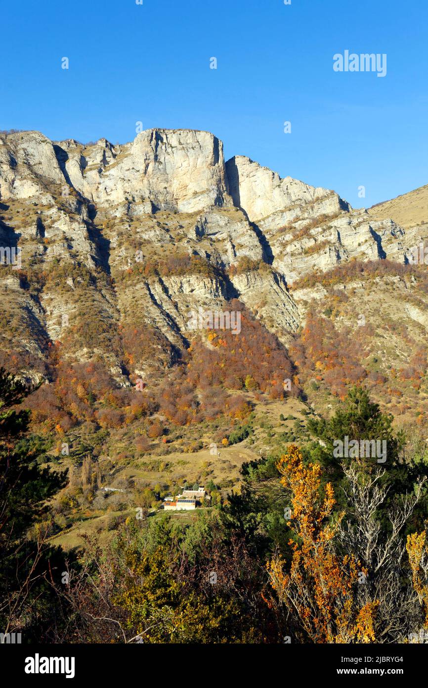 France, Drome, forest Saou (highest perched syncline in Europe), the ...