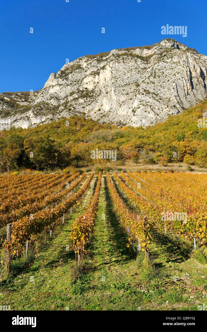 France, Drome, Saou forest and village Stock Photo - Alamy