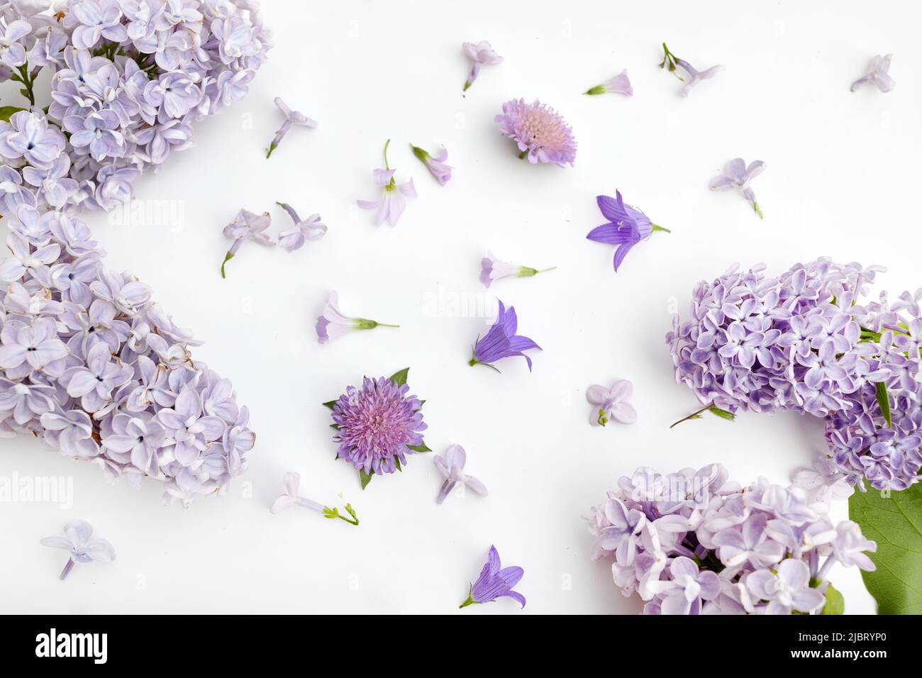 Lilac flower pattern background top view, flat lay Stock Photo - Alamy