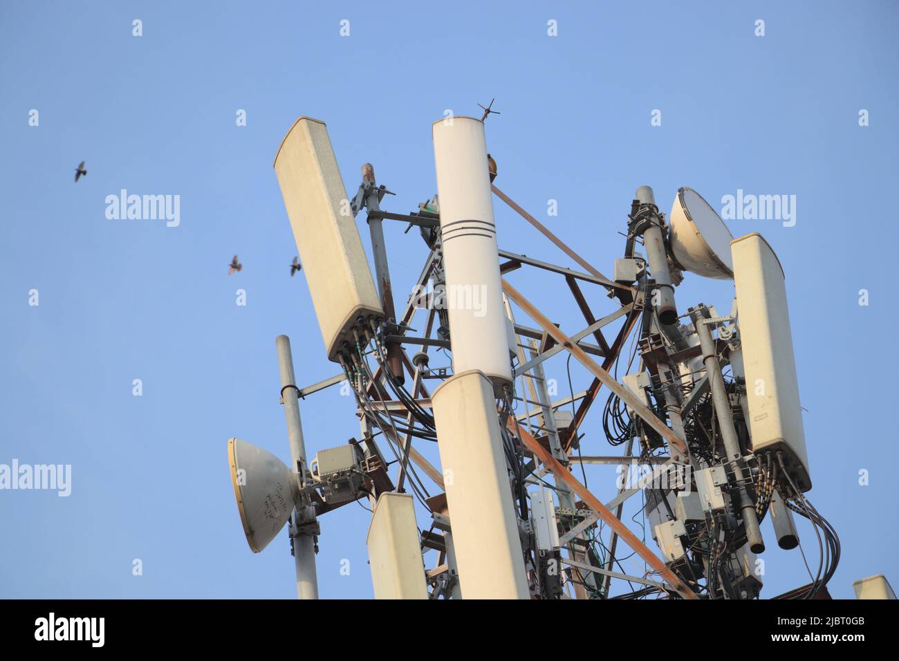 Cell phone or mobile tower with blue sky background and birds flying ...