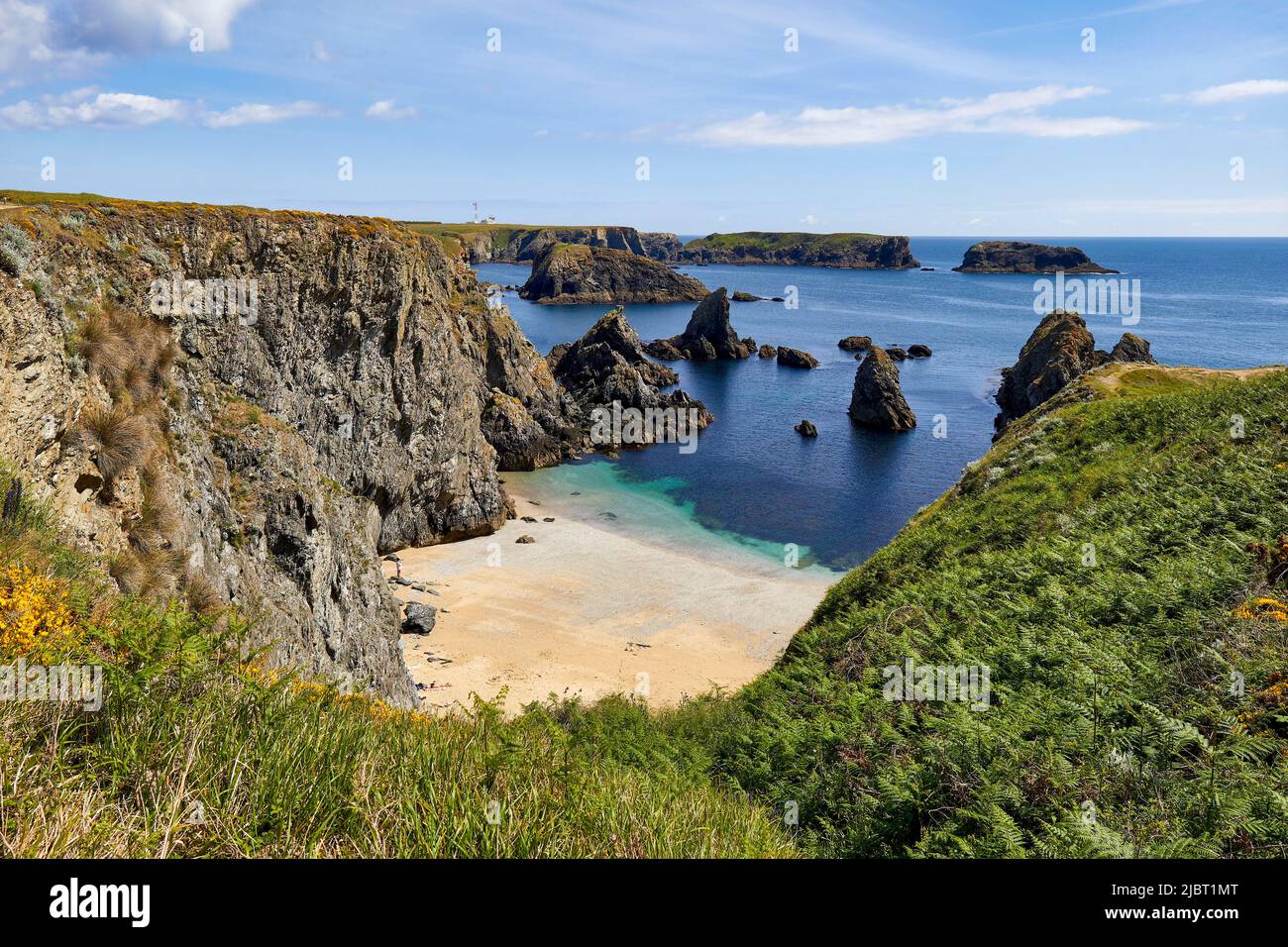 France, Morbihan, Belle Ile en mer, wild coast, Bangor, beach at Port ...