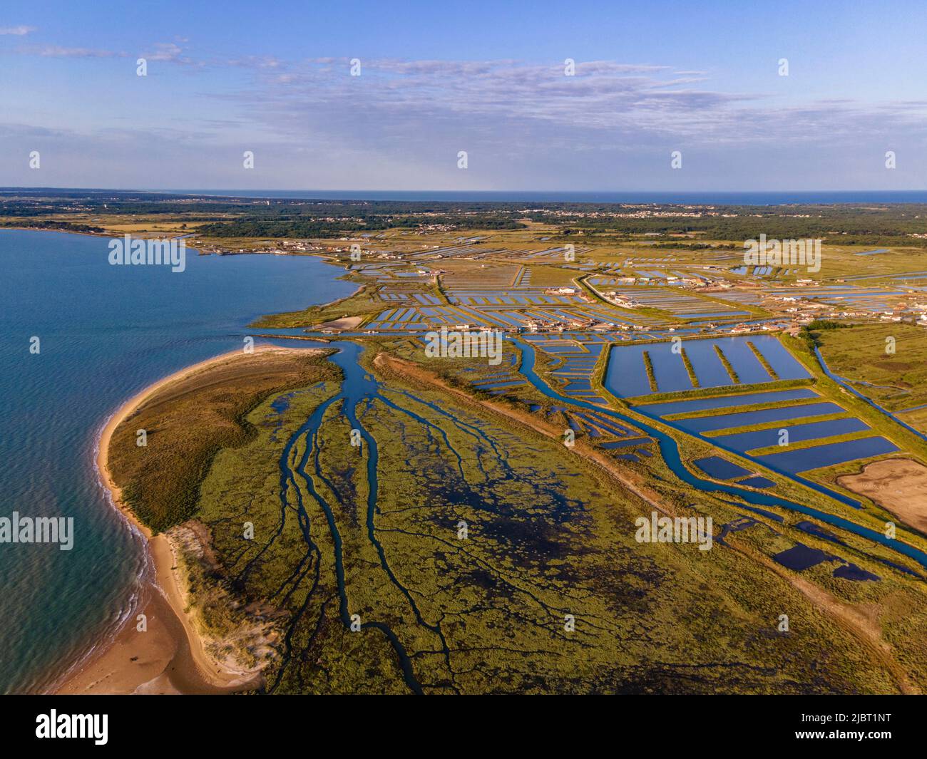 France, Charente Maritime, ile d'Oleron, Oleron island, Dolus d'Oleron ...