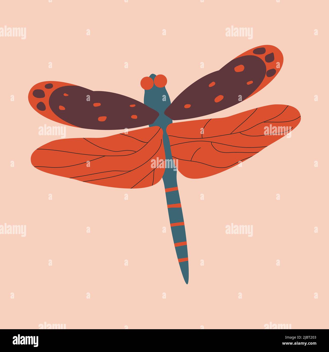 Beautiful dragonfly with colorful wings. Flat vector illustration Stock ...