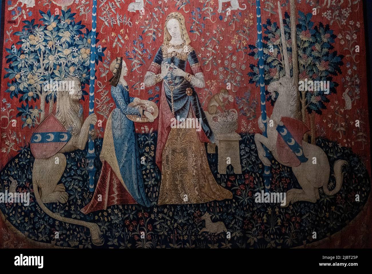 France, Paris, Cluny Museum - National Museum of the Middle Ages ...