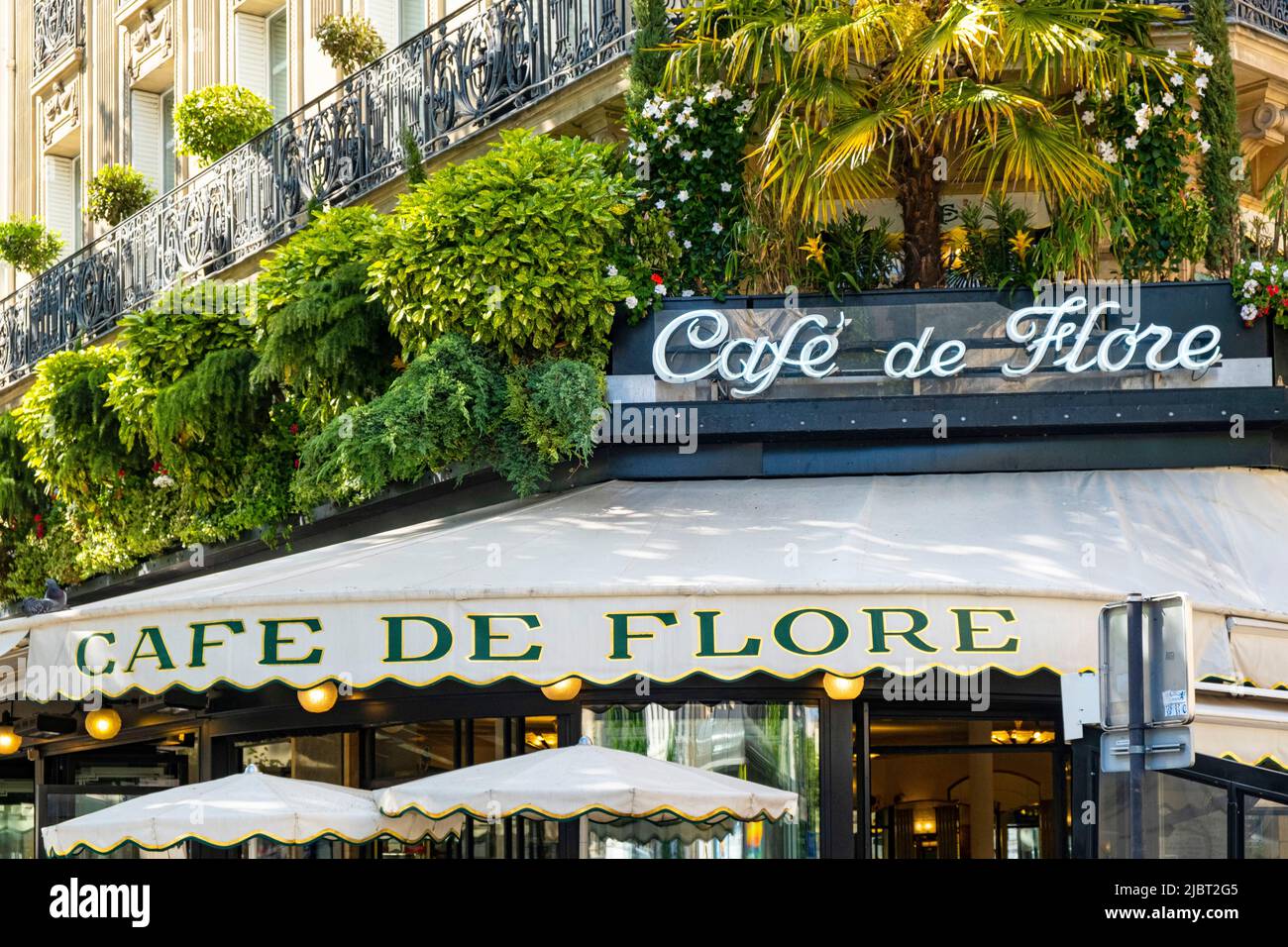 France, Paris, Saint-Germain-des-Pres, Cafe de Flore Stock Photo - Alamy