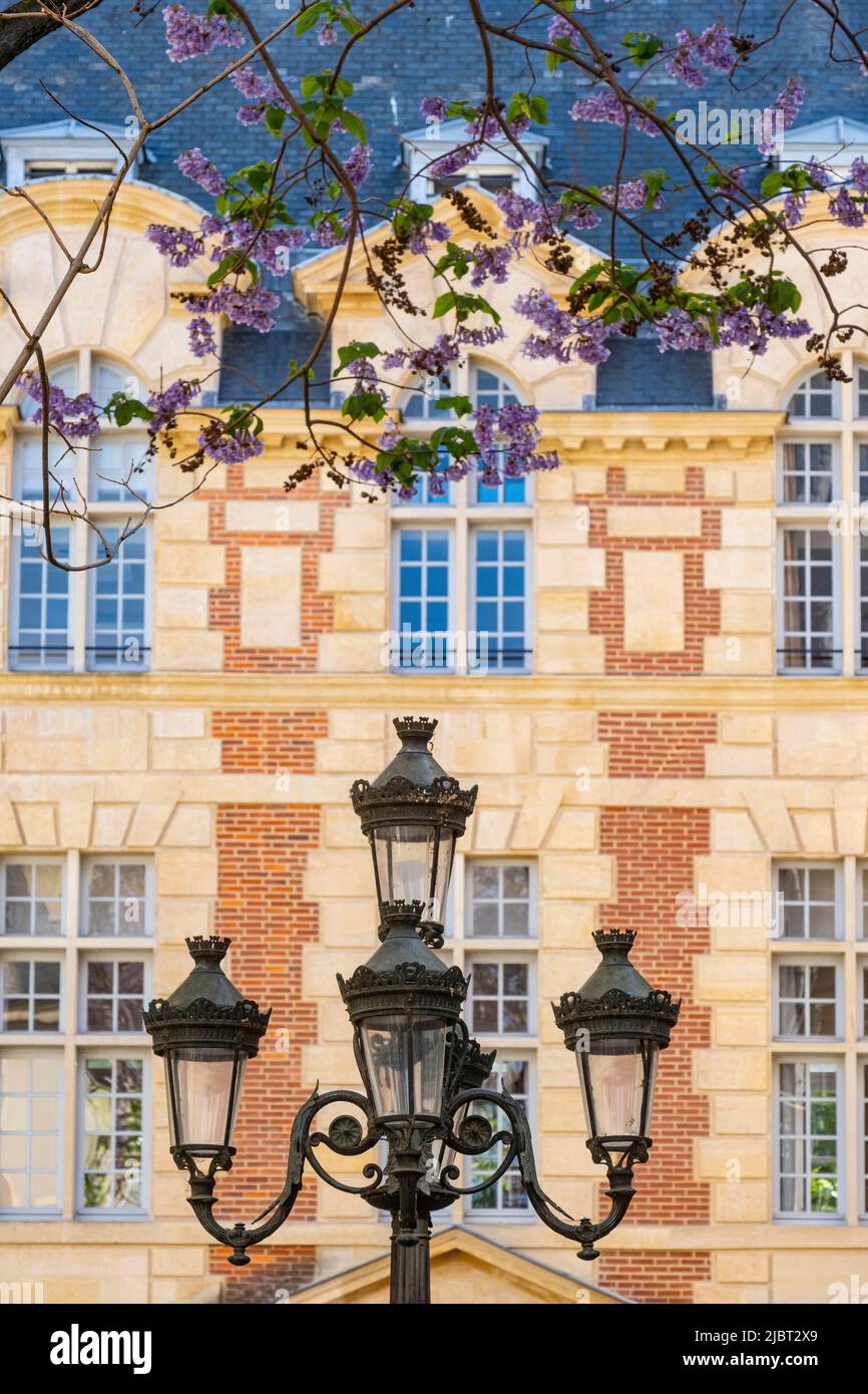 Place de furstemberg hi-res stock photography and images - Alamy