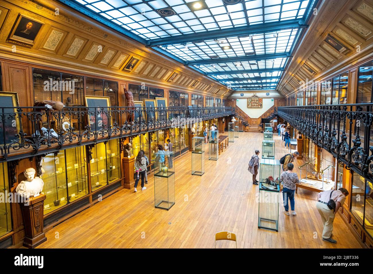 France, Paris, museum of the School of Medicine Stock Photo - Alamy
