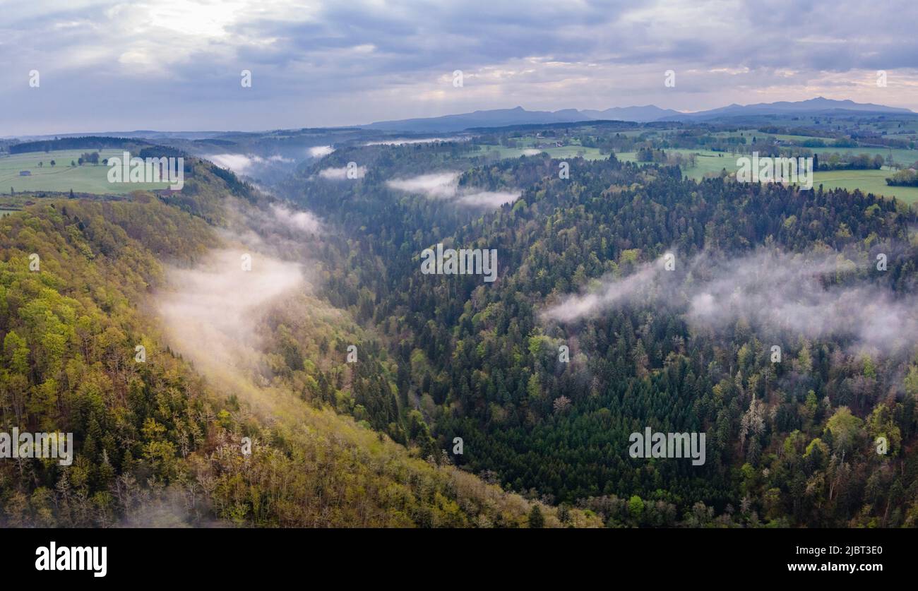 France, Puy de Dome, the Dordogne flows in the gorges of Aveze which ...