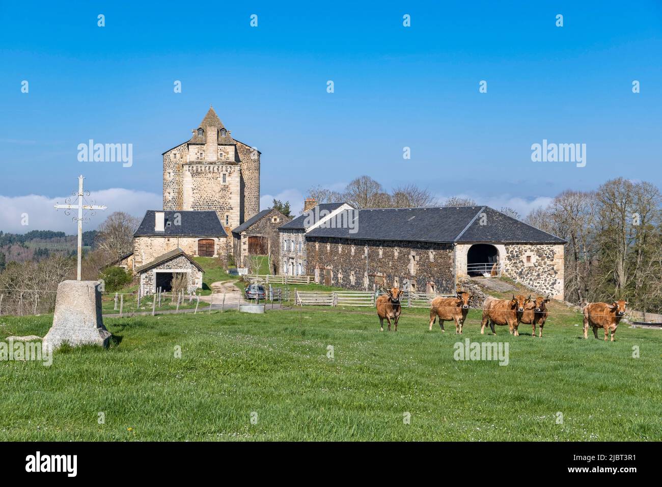 France, Cantal, Val d'Arcomie, Pompignac castle Stock Photo - Alamy
