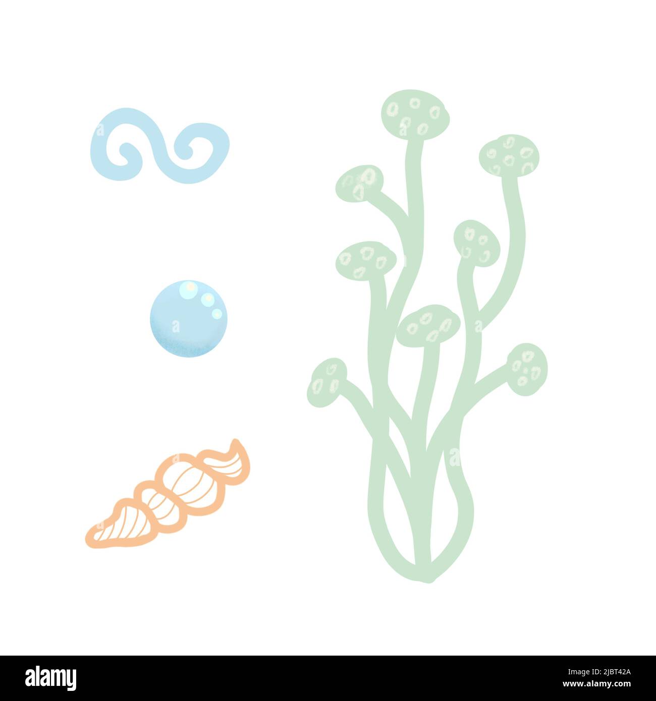 Seaweed and shell and water bulb. Flat design, childrens illustration ...