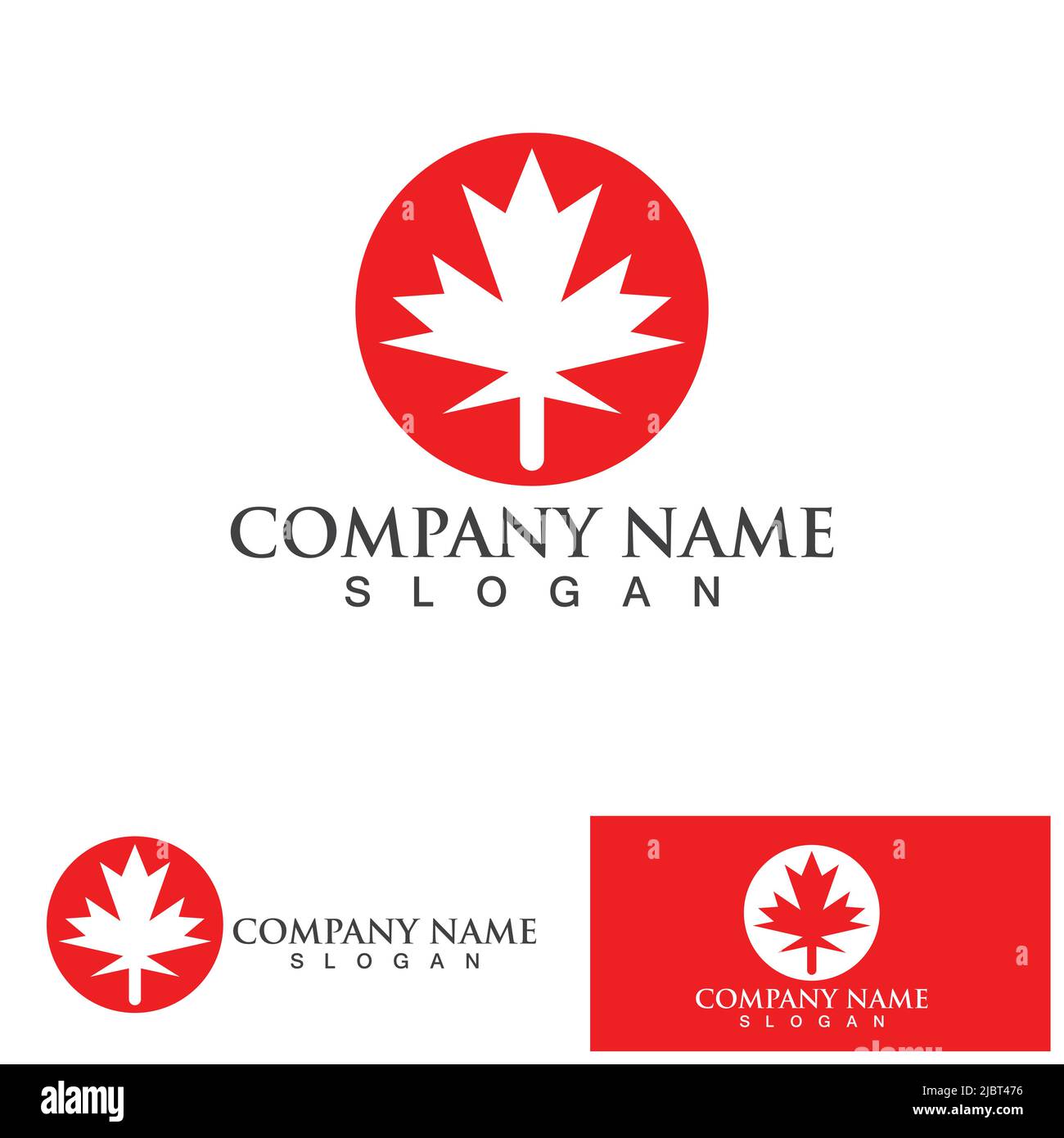 Maple leaf logo vector illustration design template Stock Vector Image ...