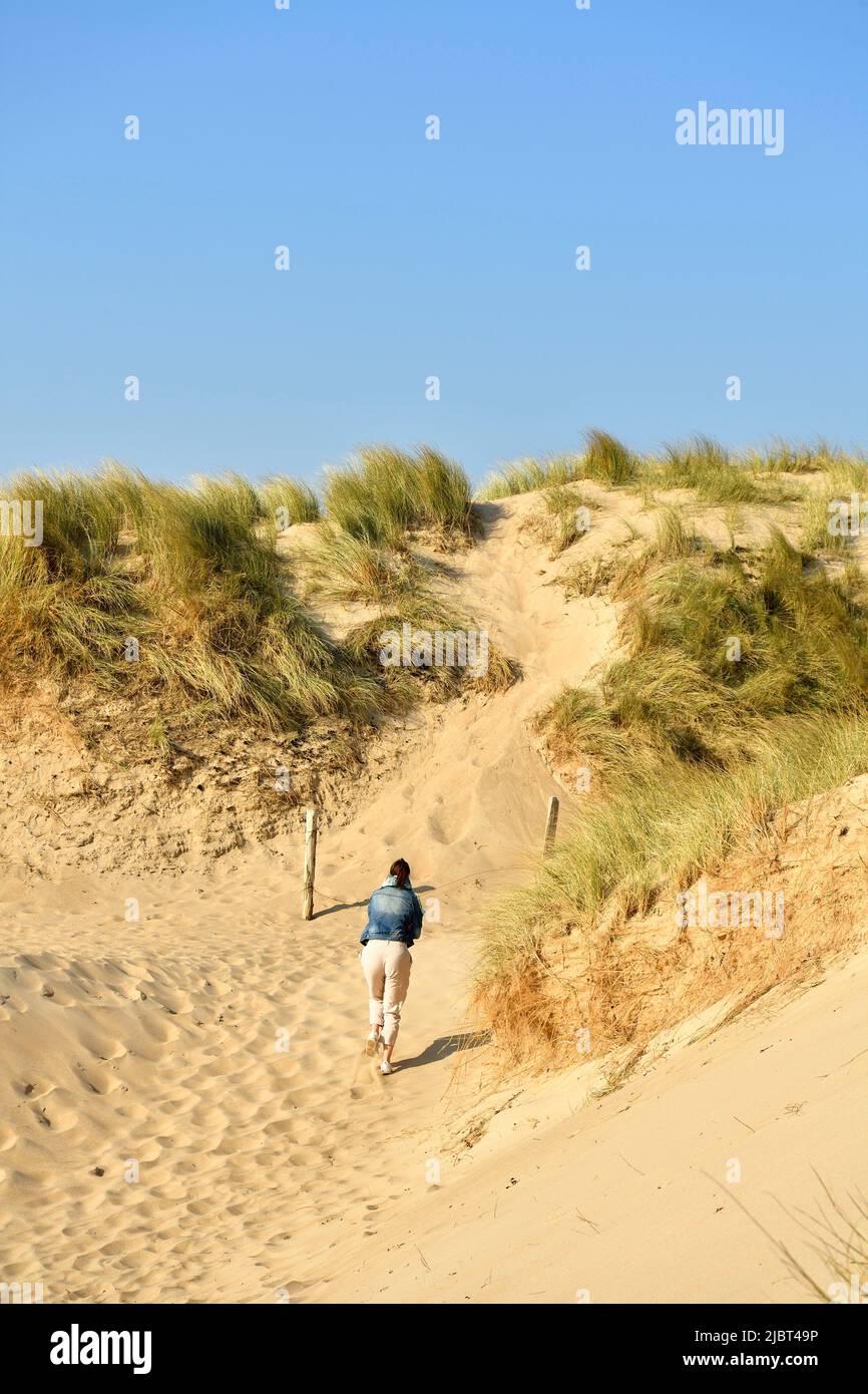 France, Manche, Cotentin Peninsula, Cap de la Hague, dunes of Biville ...