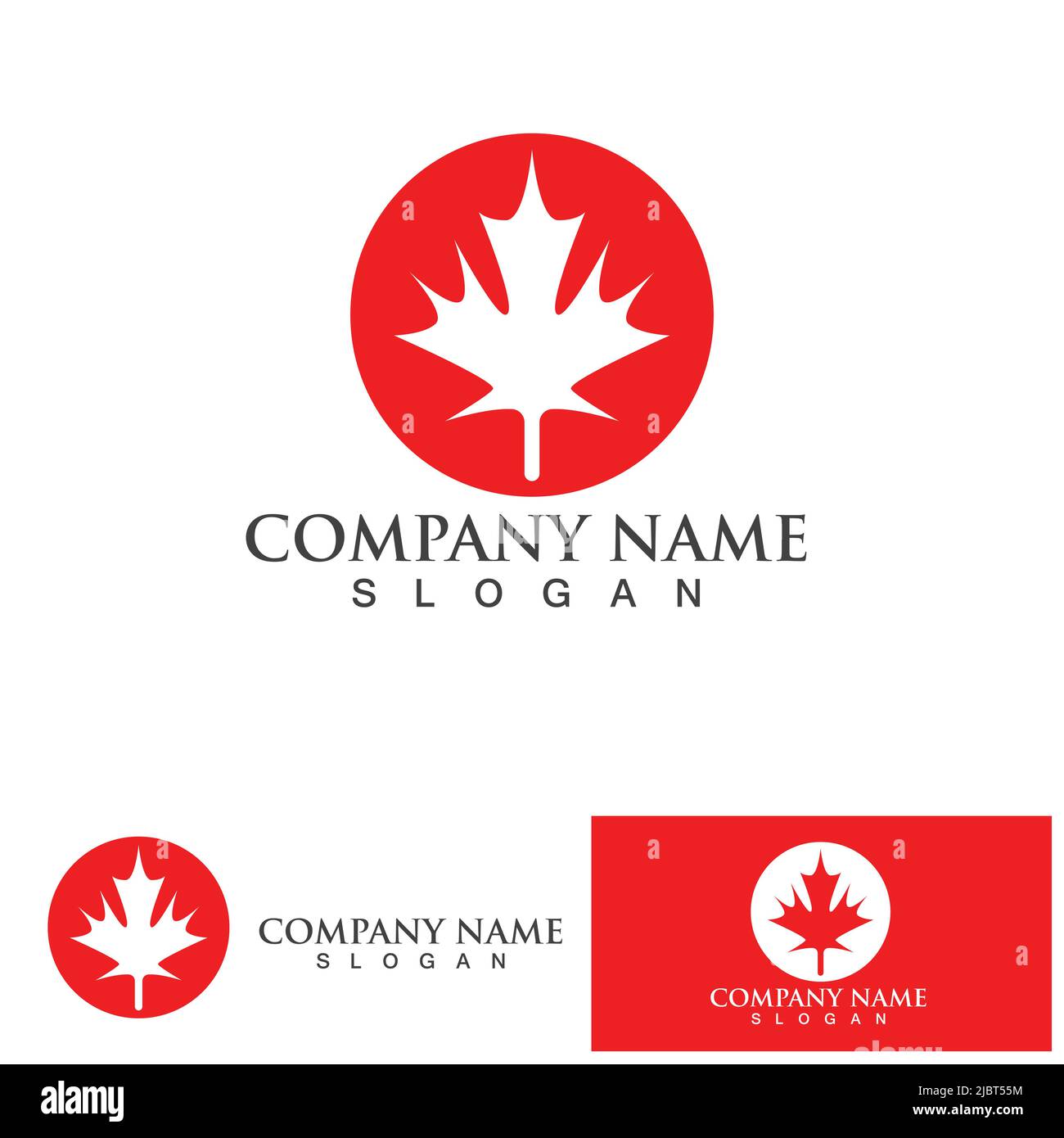 Maple leaf logo vector illustration design template Stock Vector Image ...