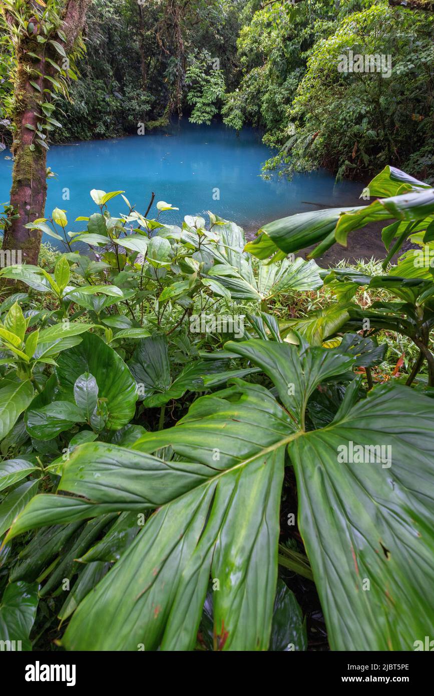 Costa Rica, Alajuela province, Tenorio volcano national park, Rio ...