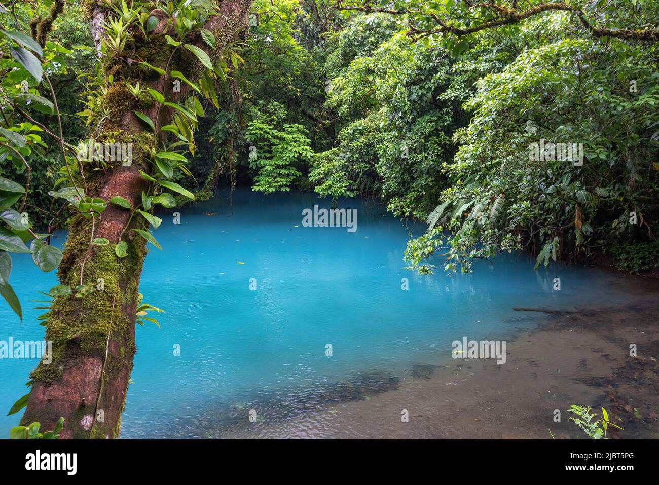 Costa Rica, Alajuela province, Tenorio volcano national park, Rio ...