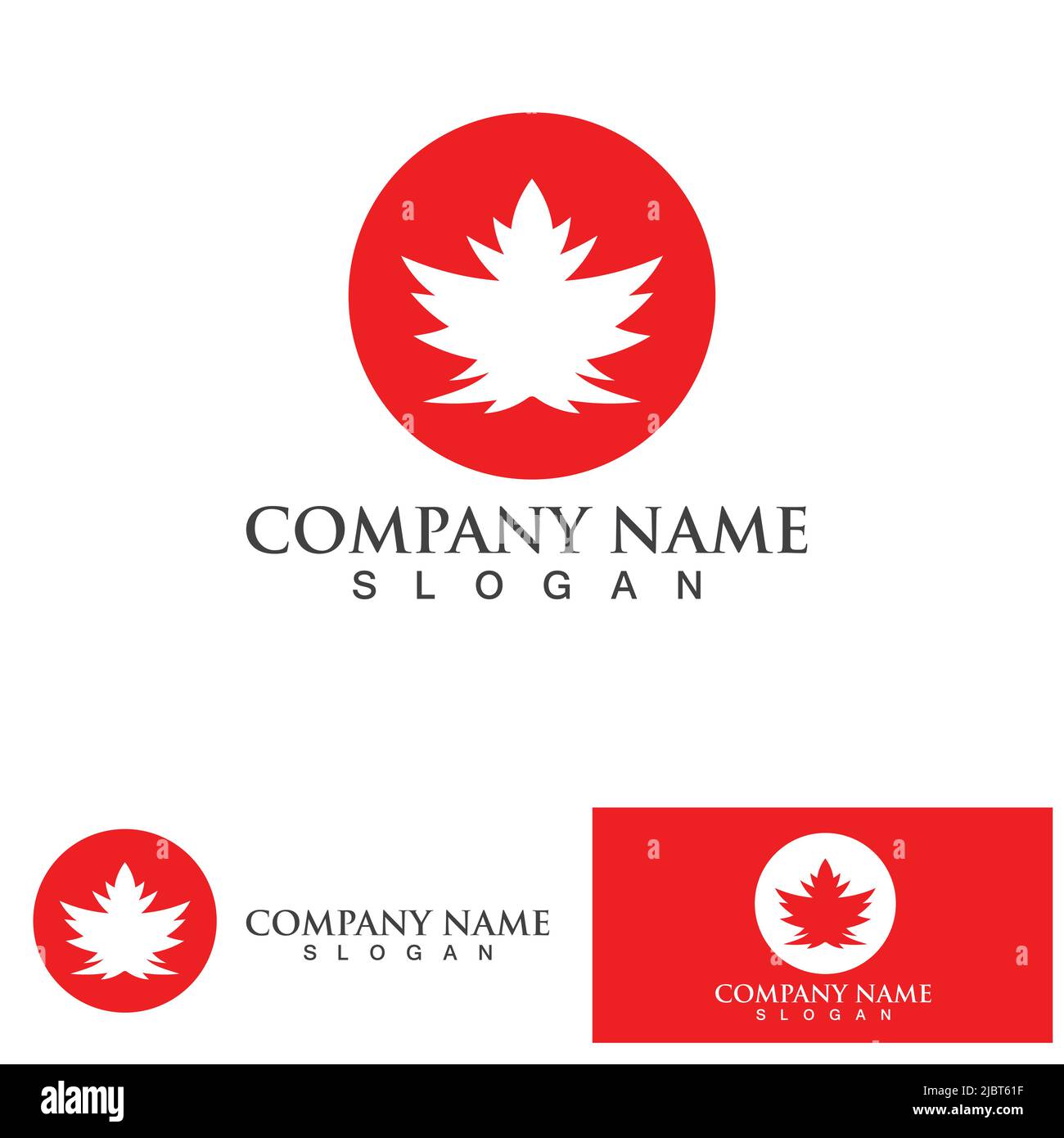 Maple leaf logo vector illustration design template Stock Vector Image ...