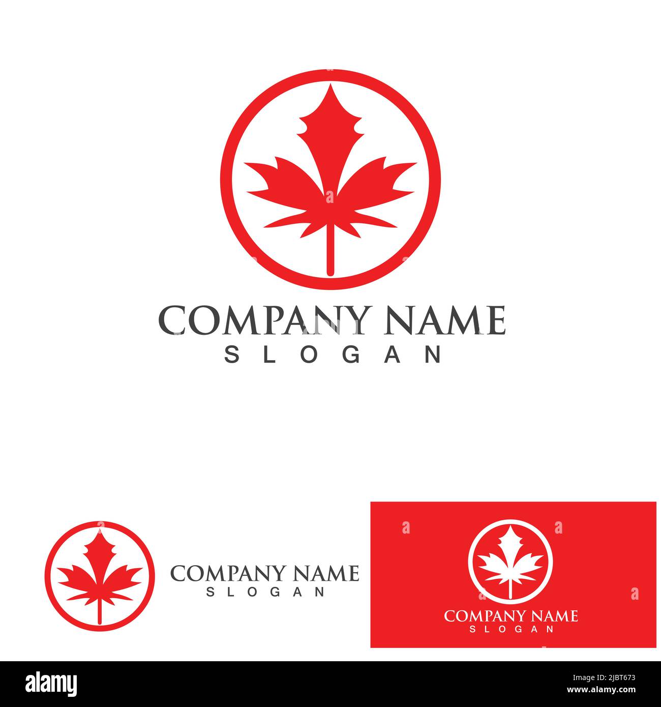 Maple leaf logo vector illustration design template Stock Vector Image ...