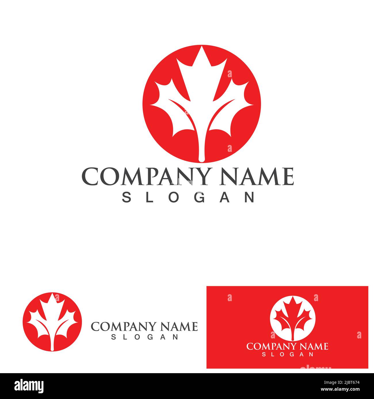 Maple leaf logo vector illustration design template Stock Vector Image ...