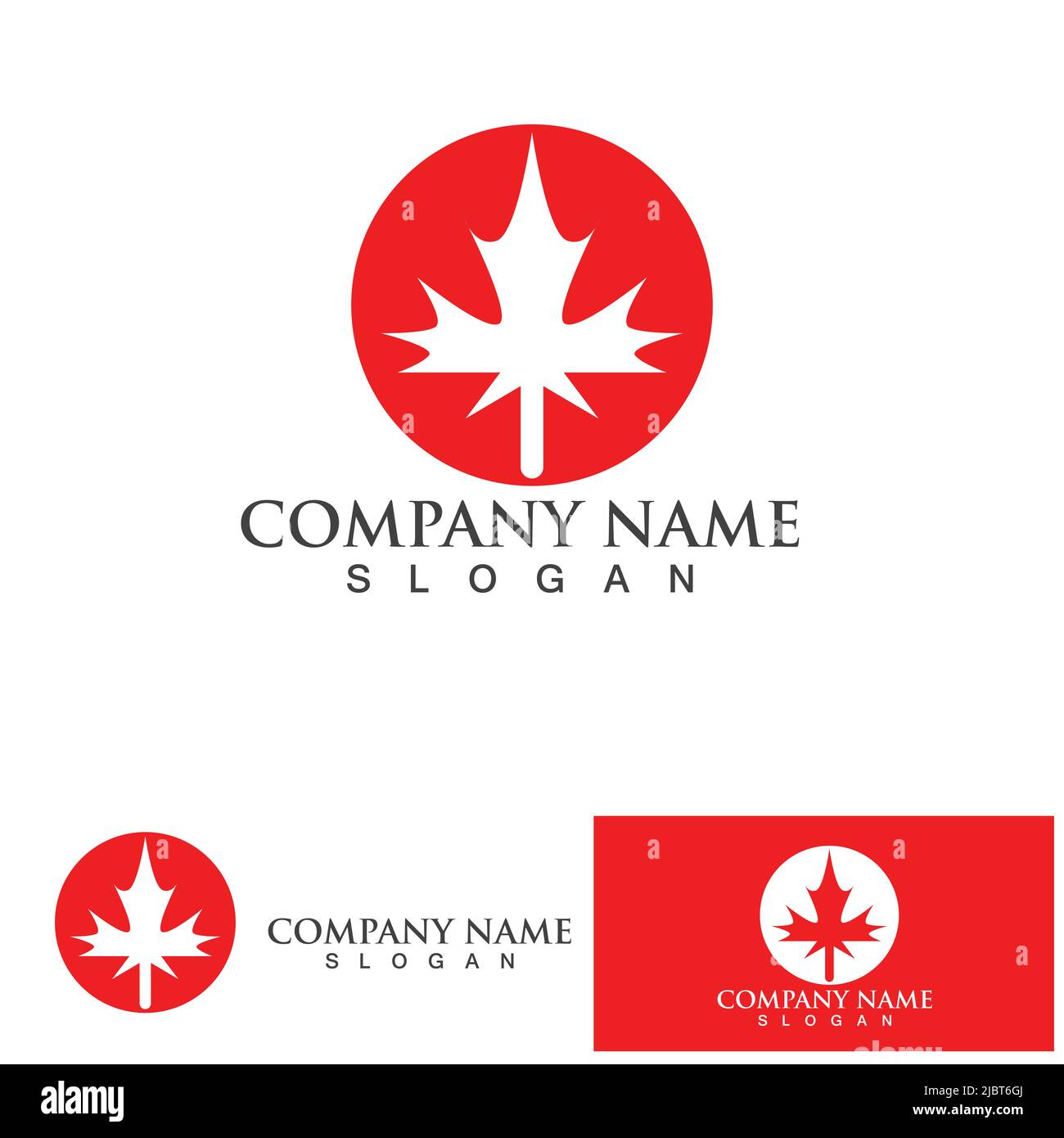 Maple leaf logo vector illustration design template Stock Vector Image ...