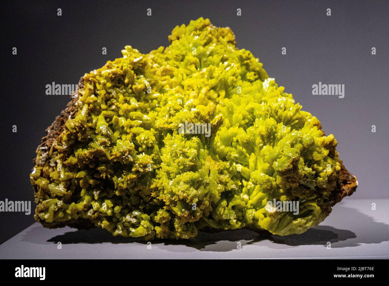 France, Paris, Natural History Museum, Geology and Mineralogy Gallery ...