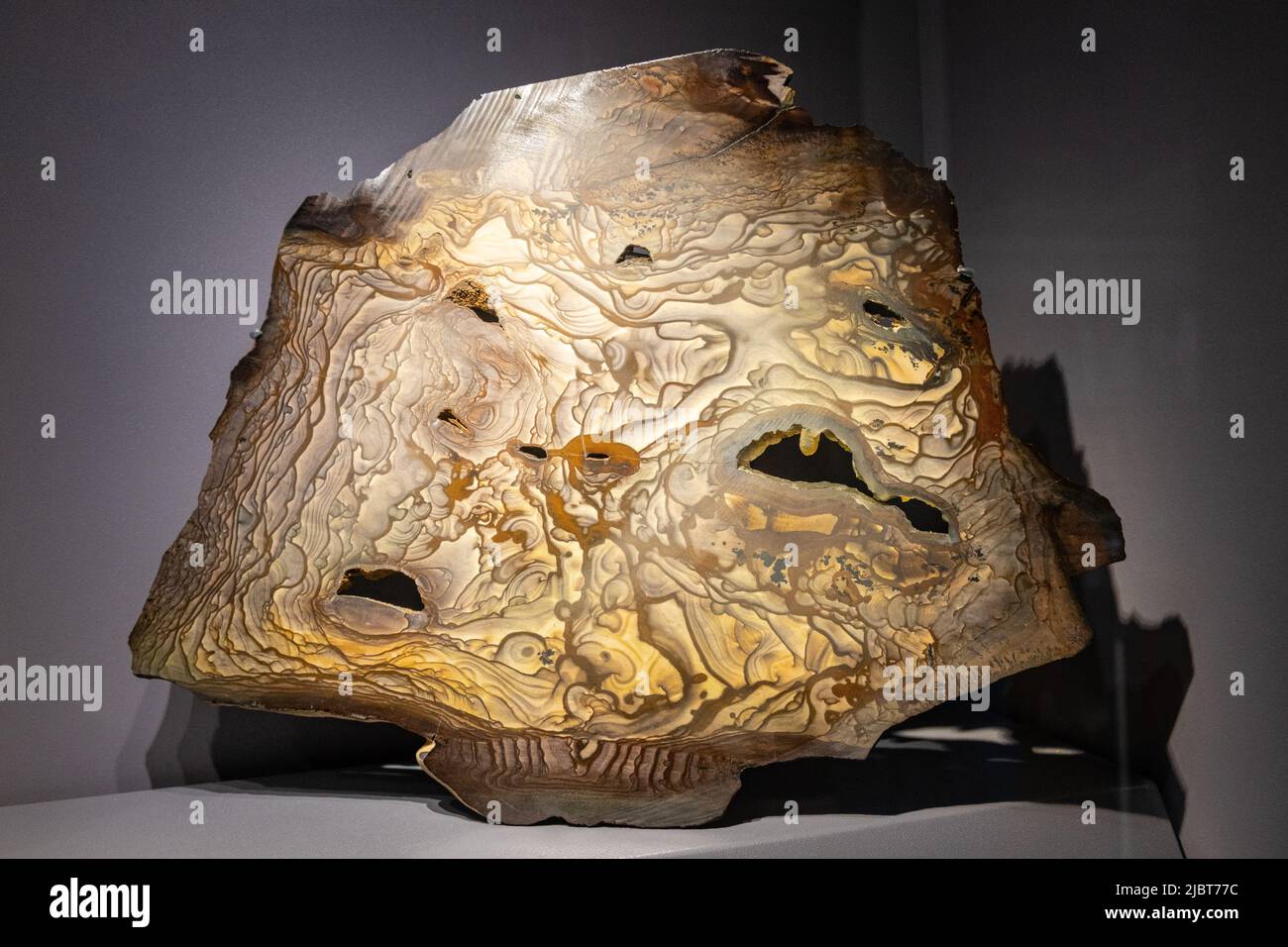 France, Paris, Natural History Museum, Geology and Mineralogy Gallery ...