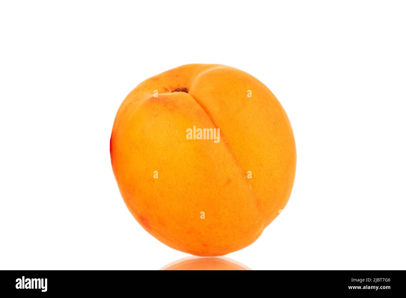 One ripe sweet apricot, closeup, isolated on white background Stock ...