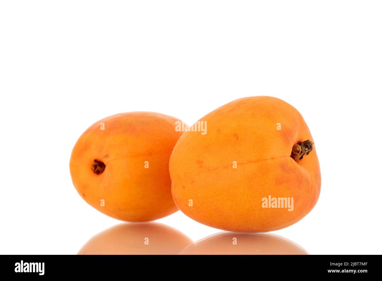 Two ripe sweet apricots, close-up, isolated on a white background Stock ...