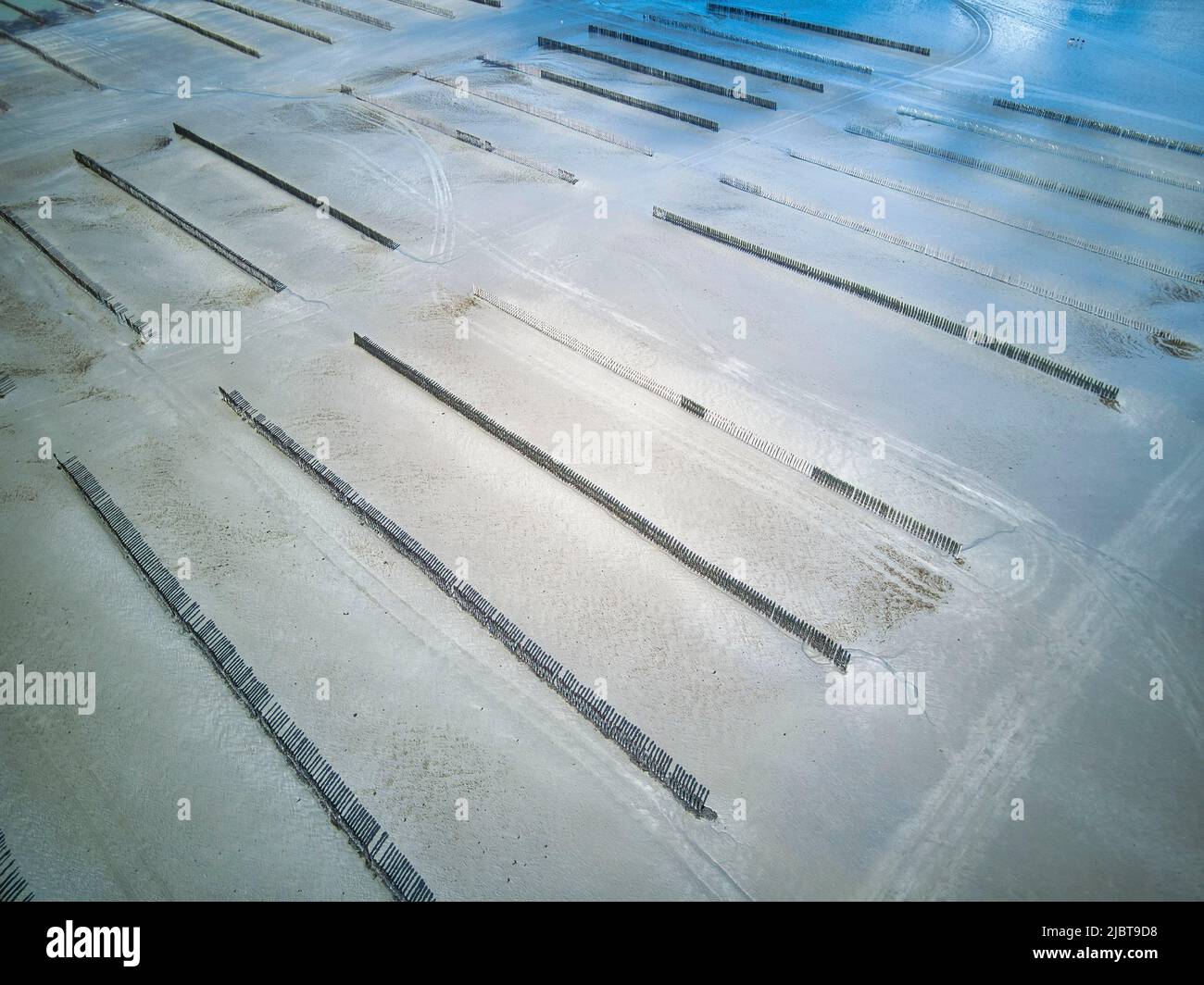 France, Côtes d'Armor, Hillion, mussel farming in the bay of Saint ...