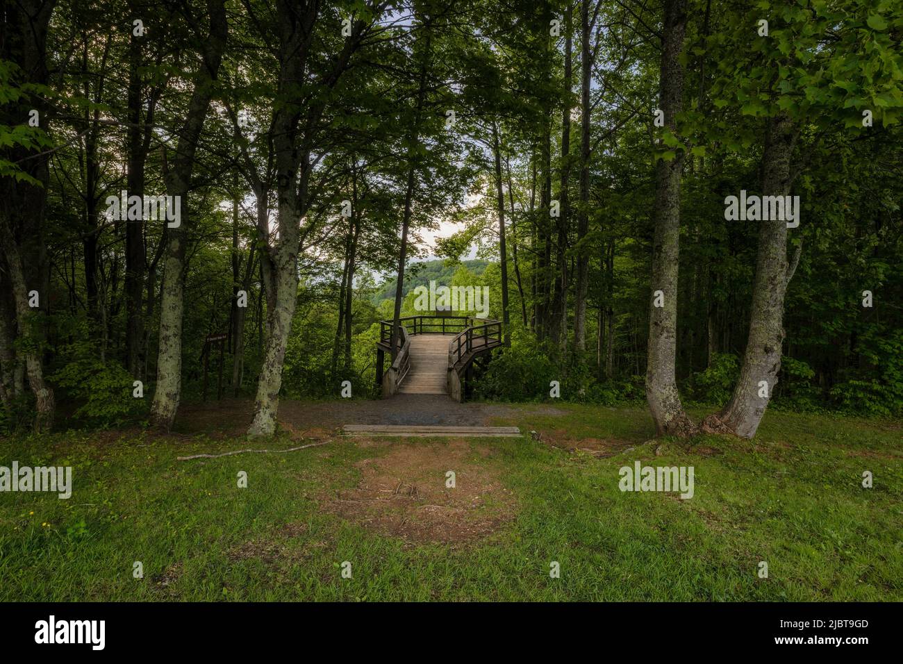 Path to a lookout deck on Roan Mountain in Tennessee, USA Stock Photo ...