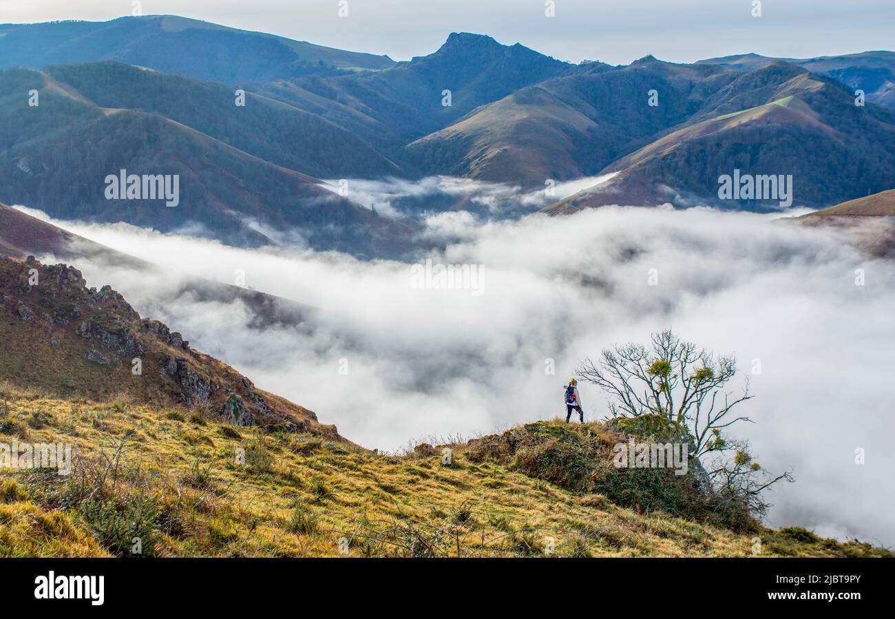 Lecumberry hi-res stock photography and images - Alamy