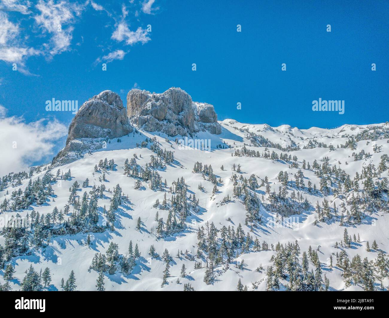 France, Pyrenees Atlantiques, Snowy landscape with pines and Pas de l ...