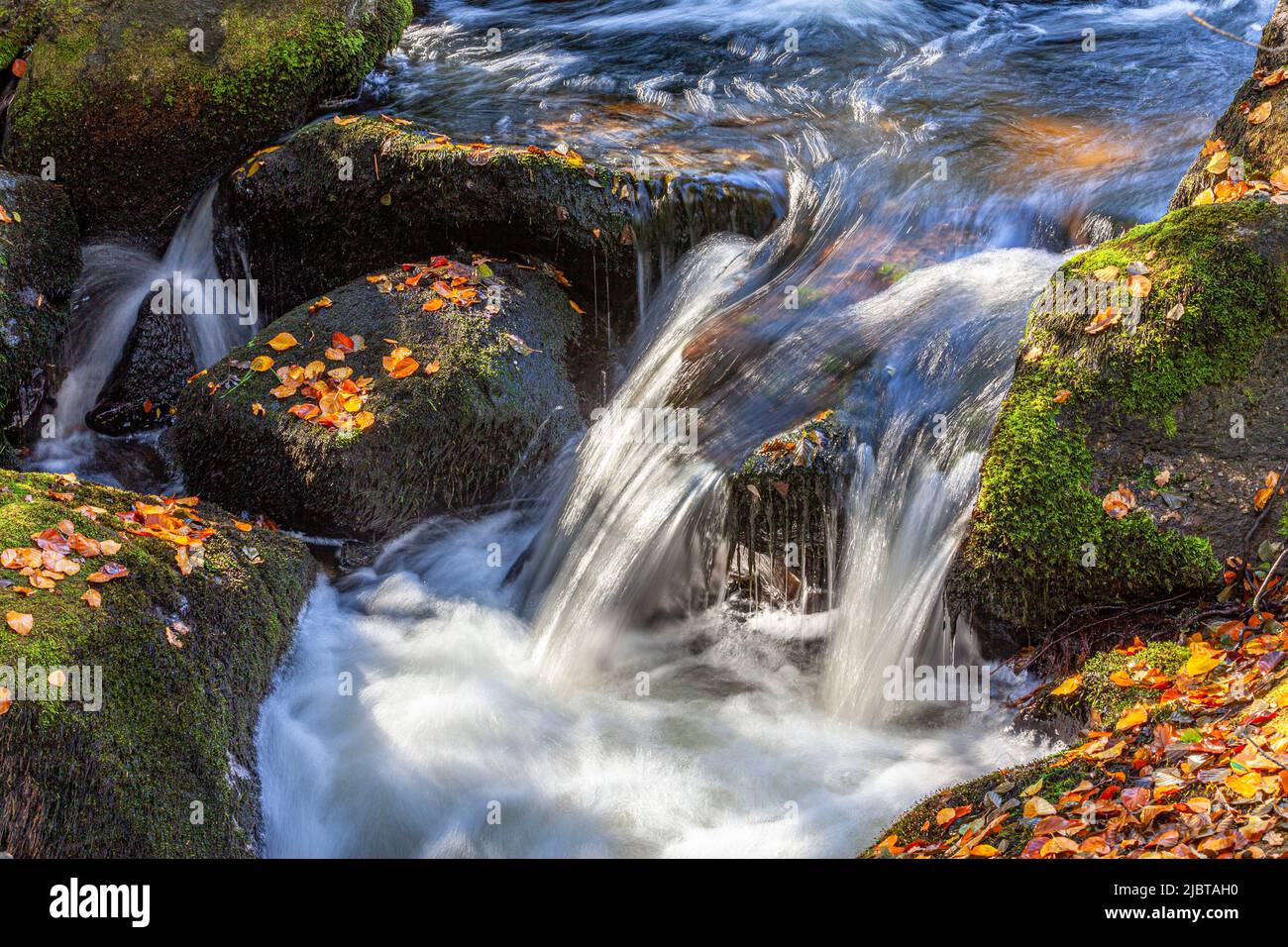 France, Correze, Vezere river in autumn, Parc Naturel Regional de ...