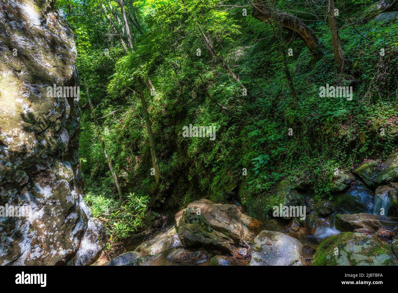A small creek cascade over rocks as it travels down a small gorge in ...