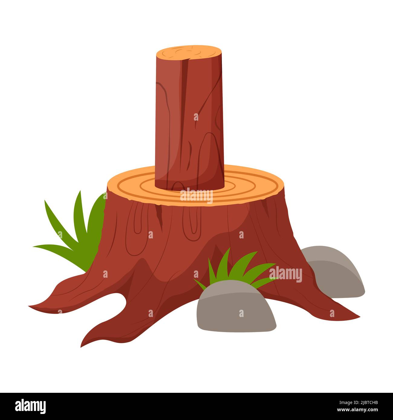 Tree stump isolated on white background. Textured detailed clipart ...