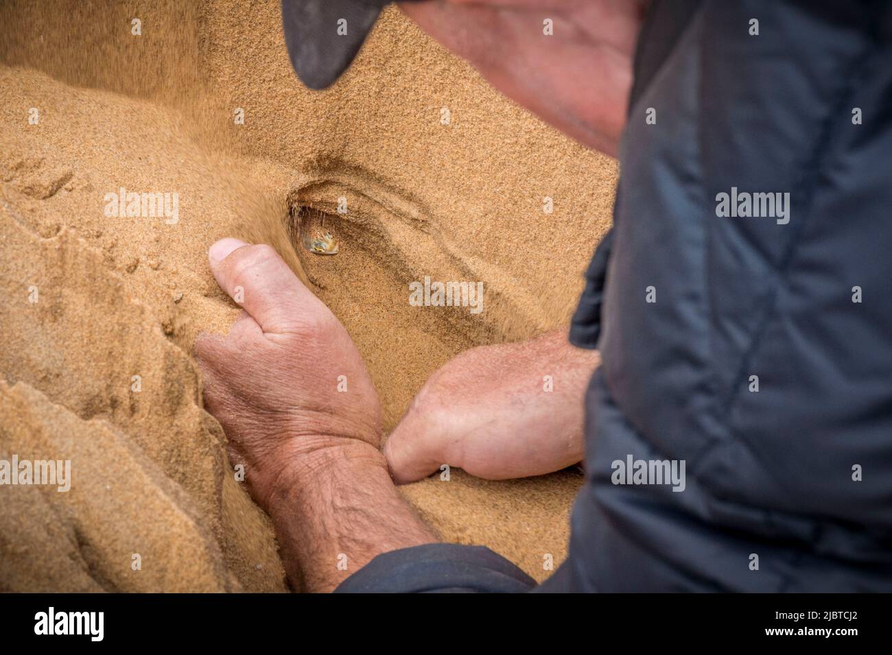 Desert lizards hi-res stock photography and images - Alamy