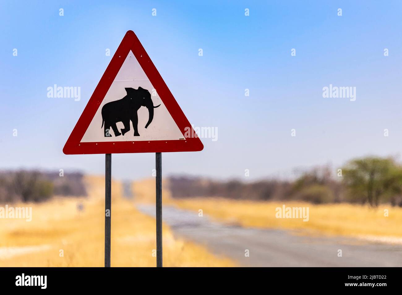 Elephant road sign hi-res stock photography and images - Alamy