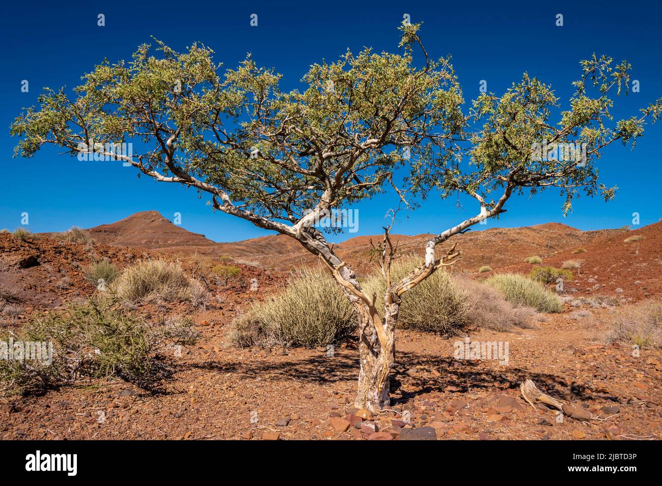Namibia, Kunene region, Damaraland, Bergsig, mineral desert Stock Photo ...