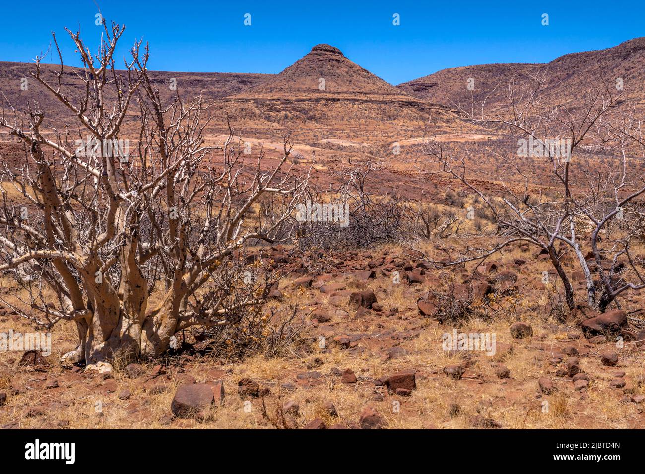 Grootberg namibia hi-res stock photography and images - Alamy