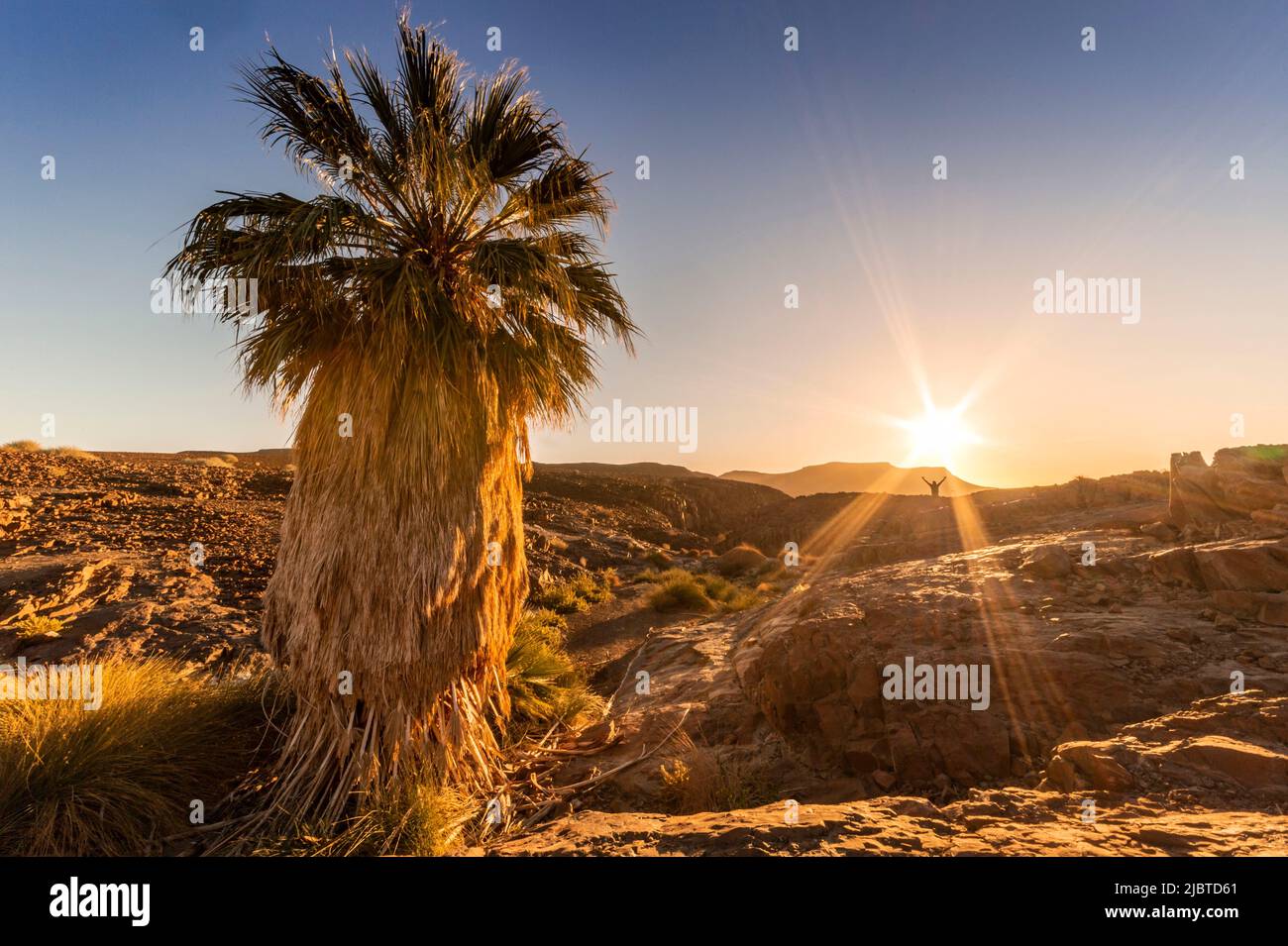 Namibia, Kunene region, Damaraland, Bergsig, sunrise over the desert ...
