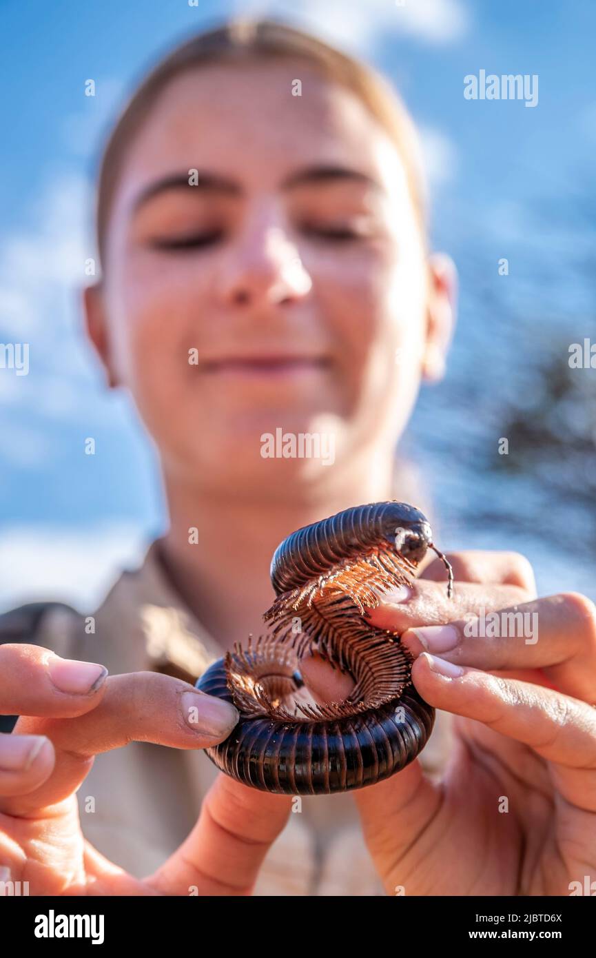 Namibia, Otjozondjupa region, Otjiwarongo, Young girl observing an ...