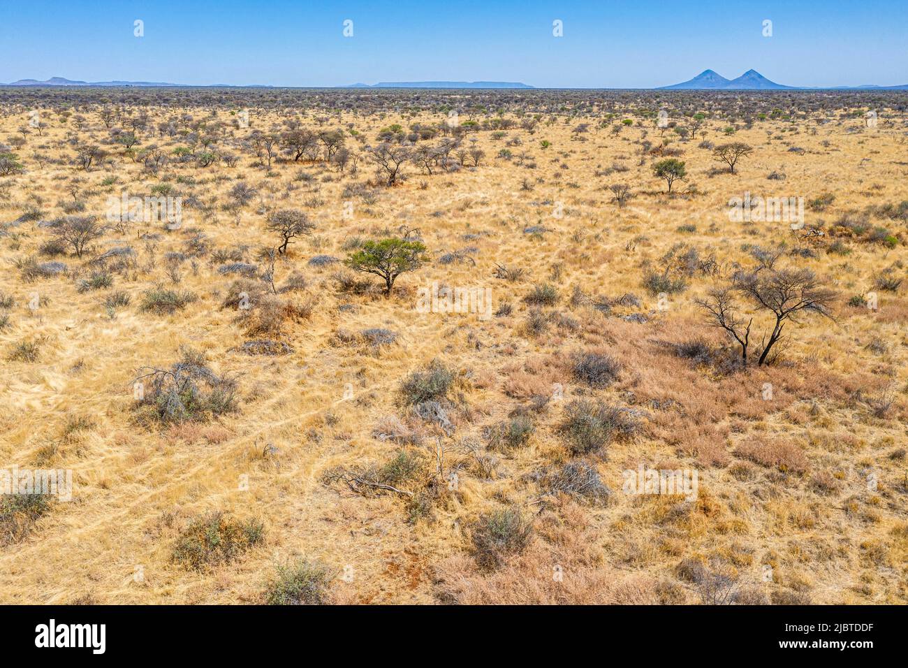 Namibia, Khomas region, aerial view of the bush from the B1 road ...