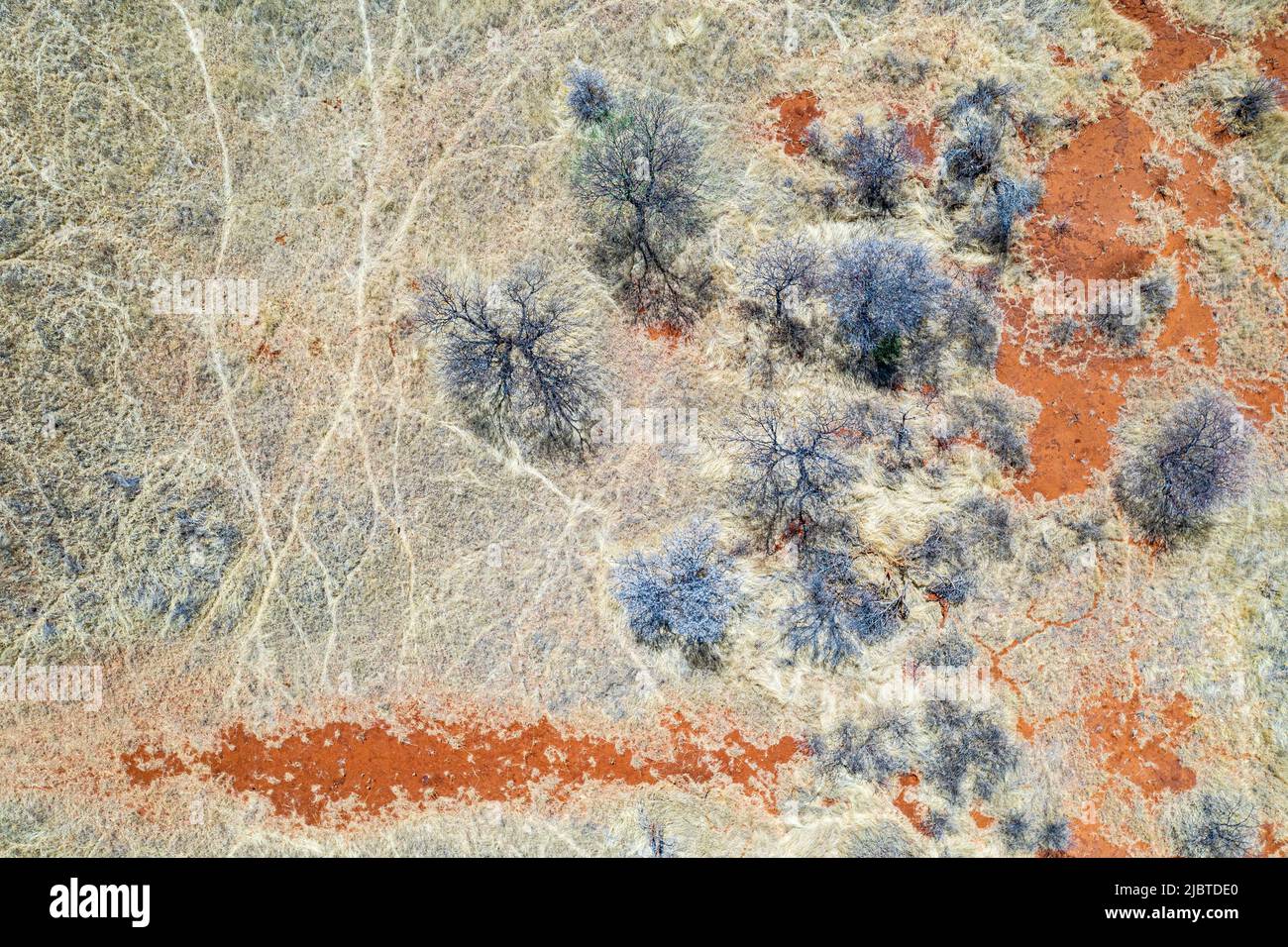 Namibia, Khomas region, aerial view of the bush from the B1 road ...
