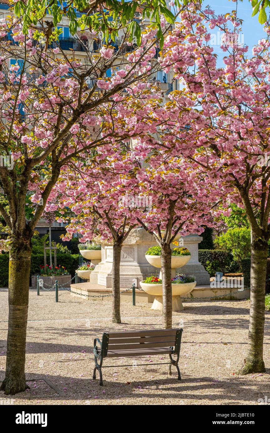 France, Val de Marne, Saint Mande, Place Charles Digeon, cherry ...