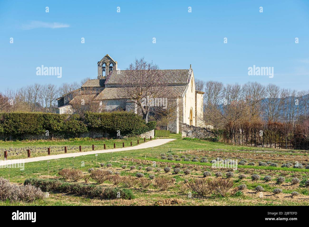 Mane france hi-res stock photography and images - Alamy