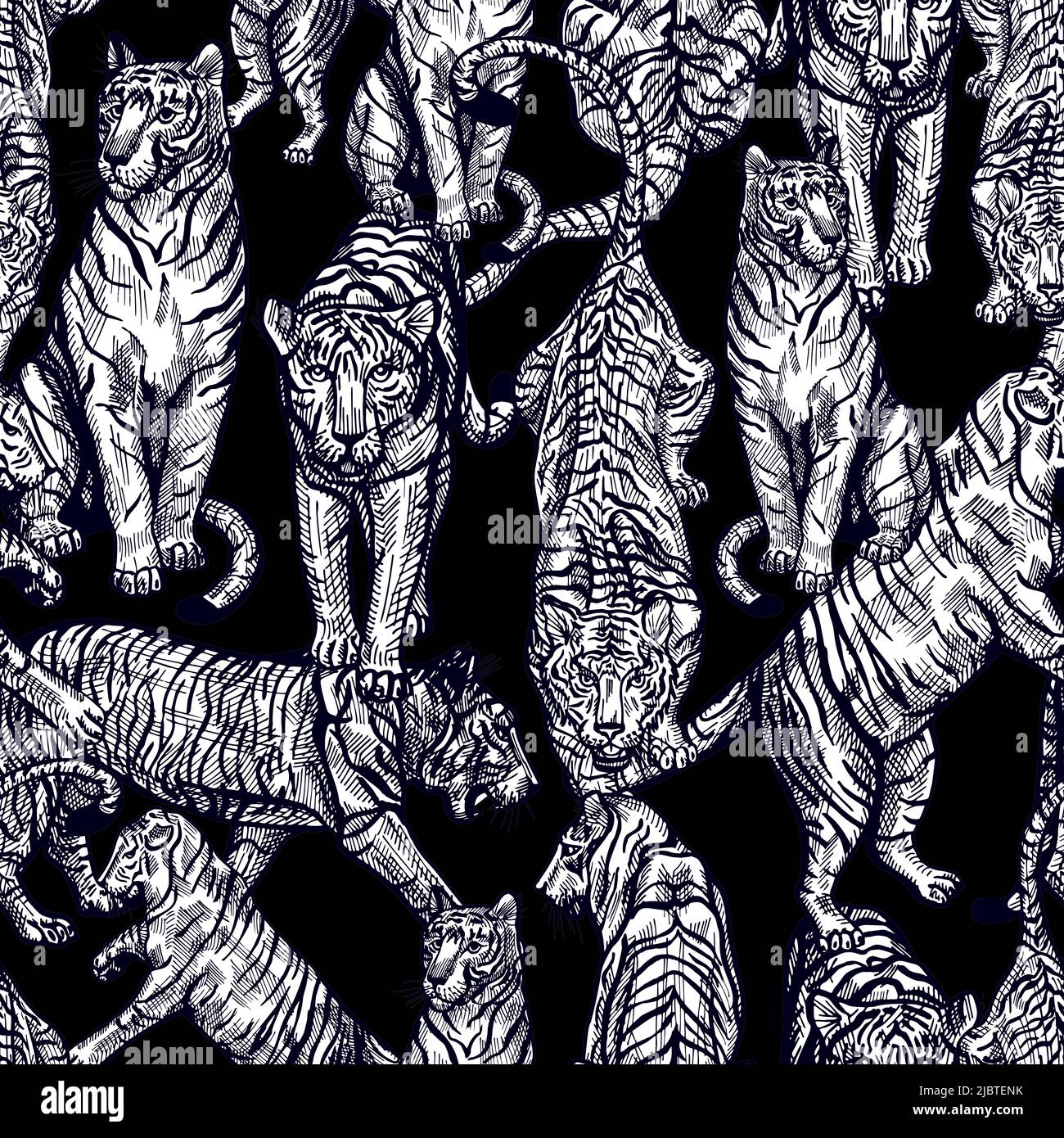 Tiger engraved seamless pattern on black background. Vintage wild ...
