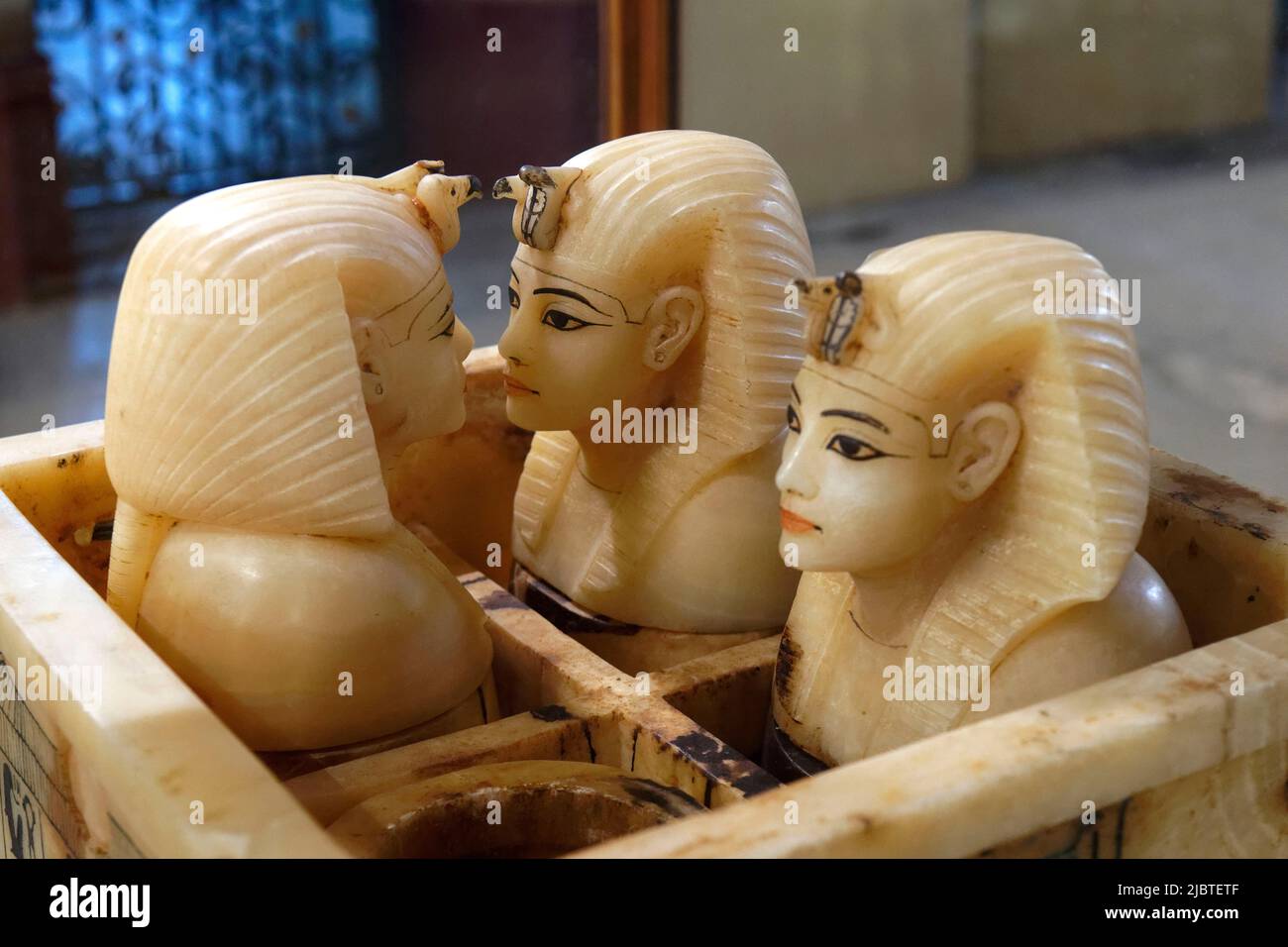 Embalmed viscera hi-res stock photography and images - Alamy