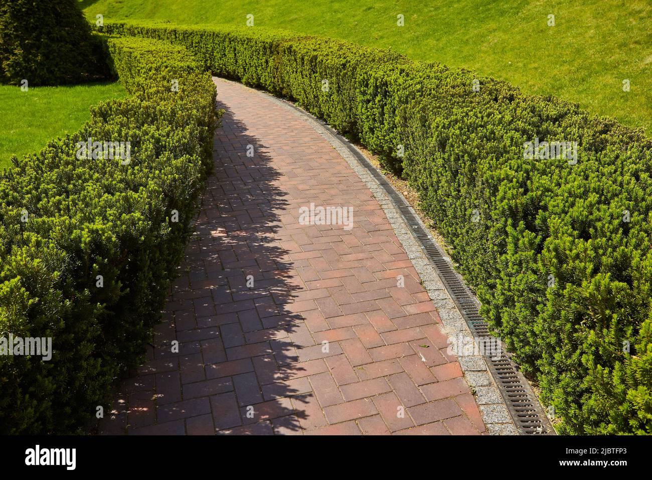 Jogging track in garden of public park among greenery trees, flower ...