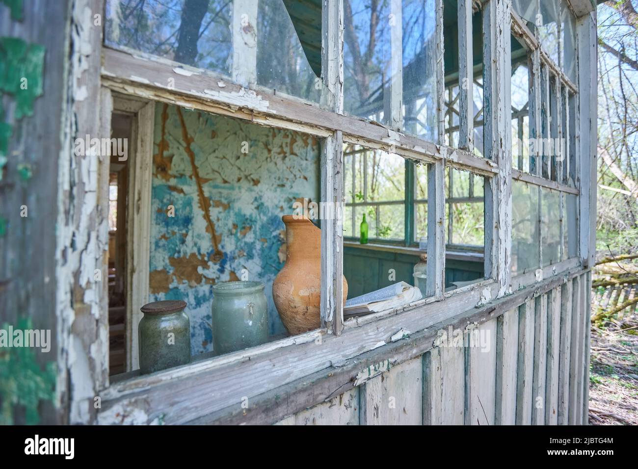 abandoned house overgrown with wild plants that started yellow in the ...